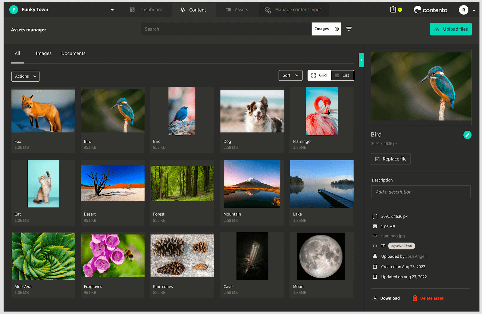 An introduction to Headless Content Management Systems